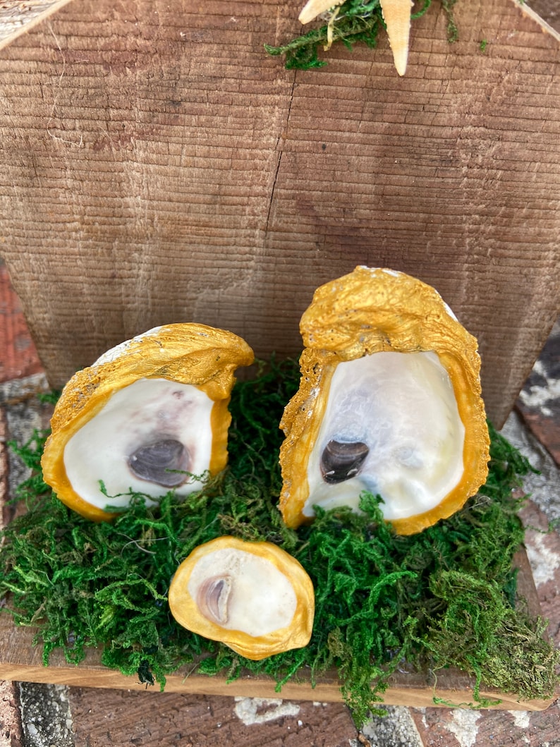 Oyster Shell Nativity - Etsy