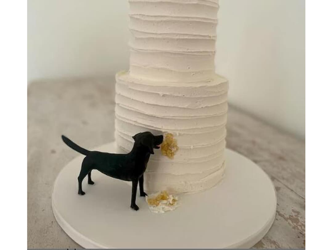 Personalized Polymer Clay Pet Wedding Cake Topper, Custom Animal Cake ...