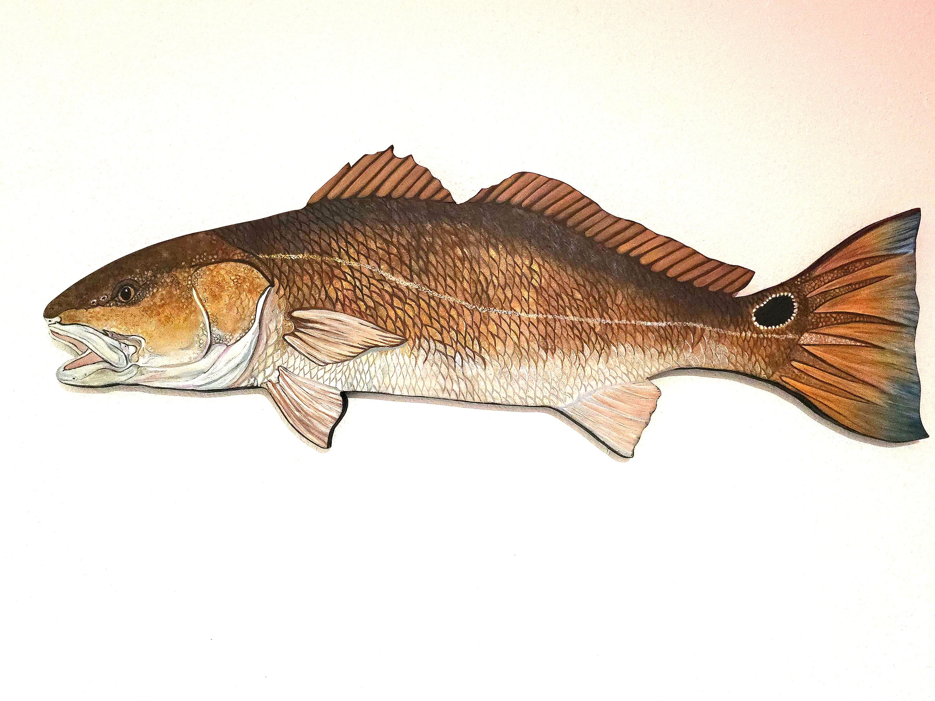 Redfish, Wood Art, Redfish Replica - Etsy