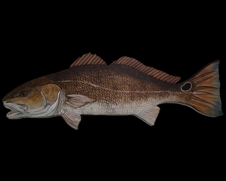 Redfish, Wood Art, Redfish Replica - Etsy
