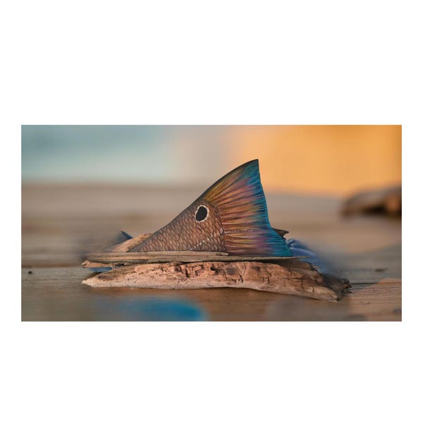 Redfish Wood Art - Etsy