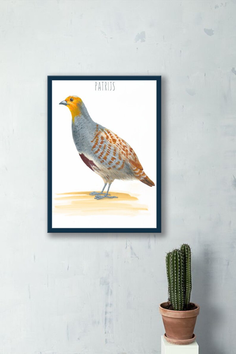 Art Print With Partridge - Etsy