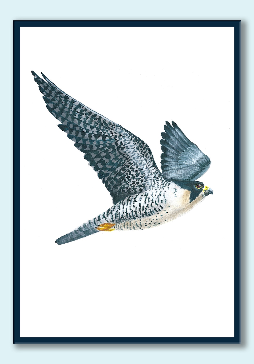 Art Print With Peregrine Falcon - Etsy