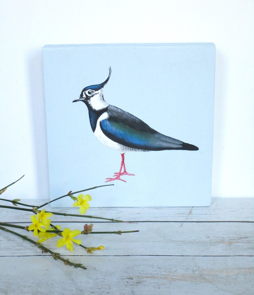 Painted Lapwing on Wood, Bird Paintings, Painted Birds, Northern ...