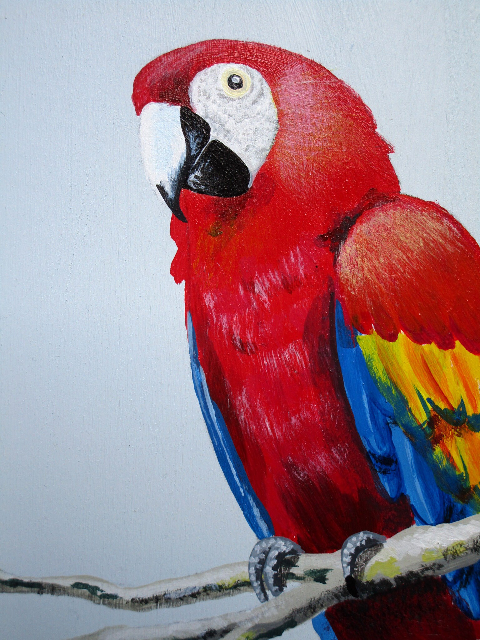 Red Parrot on Wood, Bird Paintings, Macau, Painted Birds, Parrot ...
