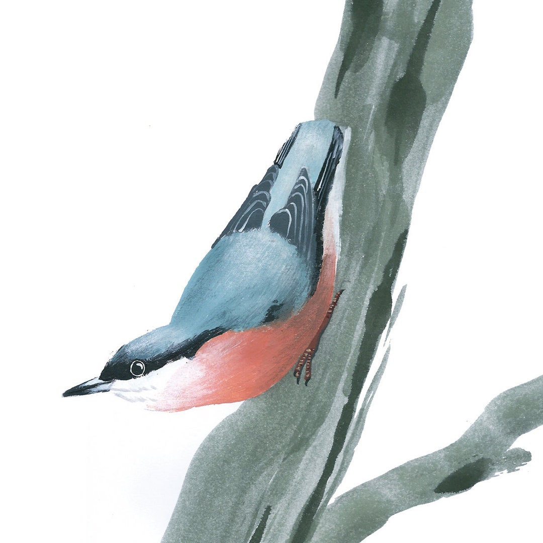 Art Print: Painted Nuthatch on Aquarelic Paper. - Etsy
