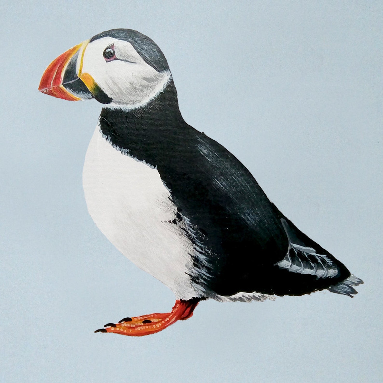 Puffin Painted on Wood, Bird Paintings, Painted Birds, Puffin Painting ...