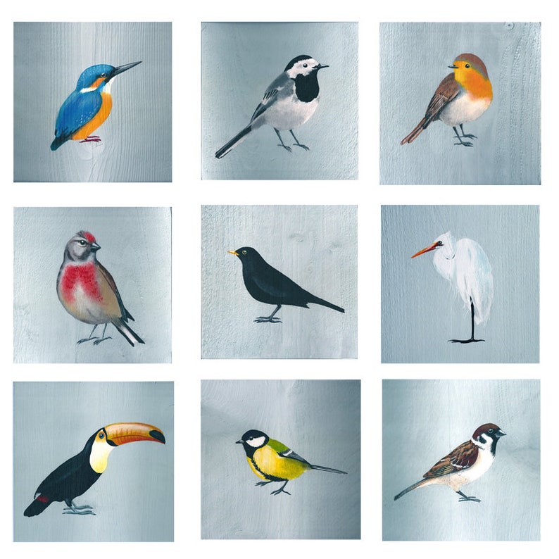 Painted Robin on Wood, Bird Paintings, Painted Birds, Robin Painting ...