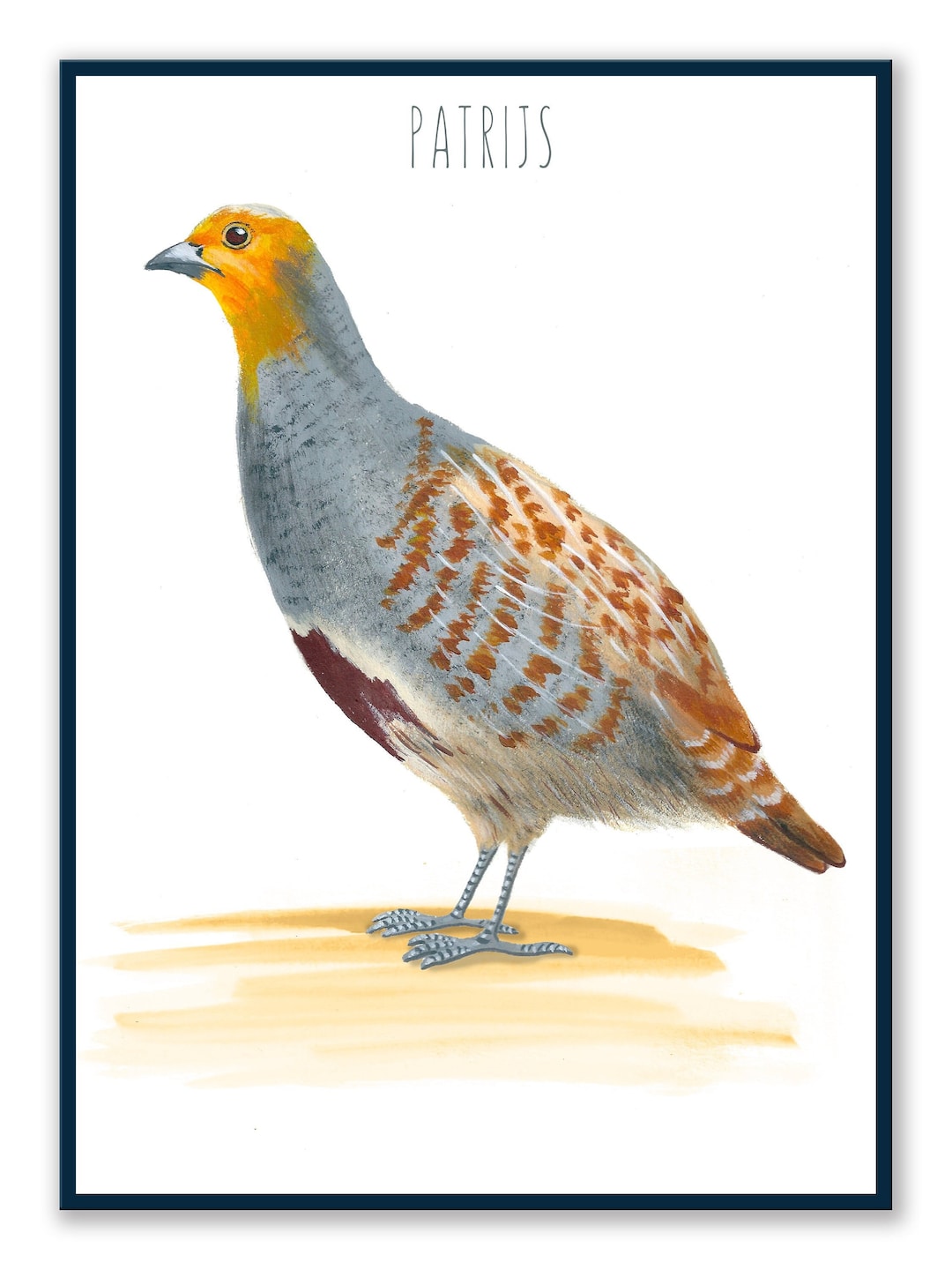 Art Print With Partridge - Etsy