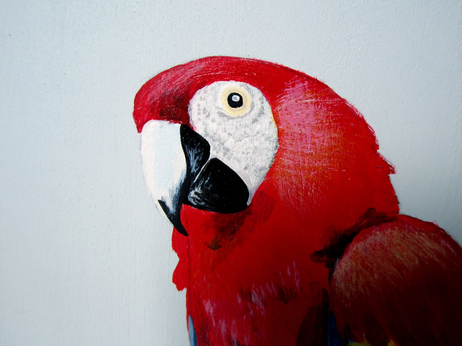 Red Parrot on Wood, Bird Paintings, Macau, Painted Birds, Parrot ...