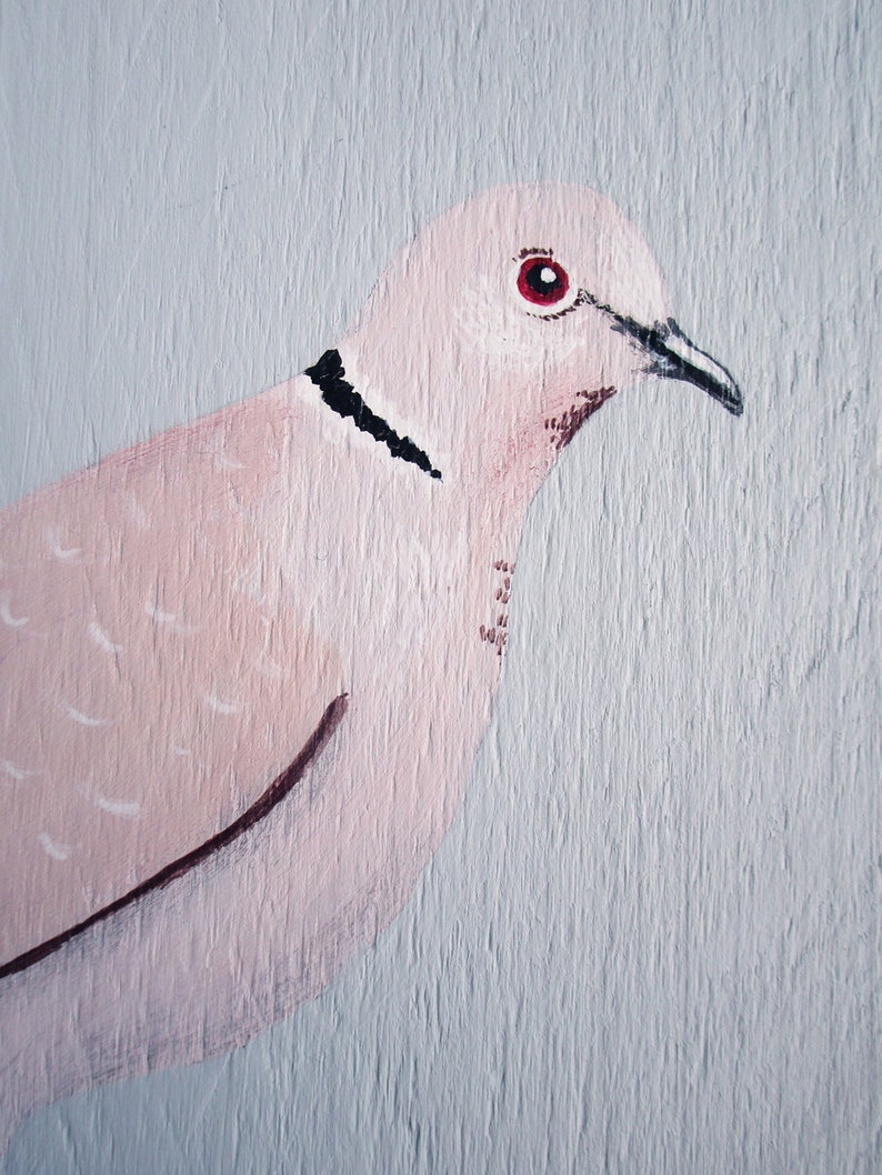 Birds Painted on Wood: Collared Dove - Etsy UK