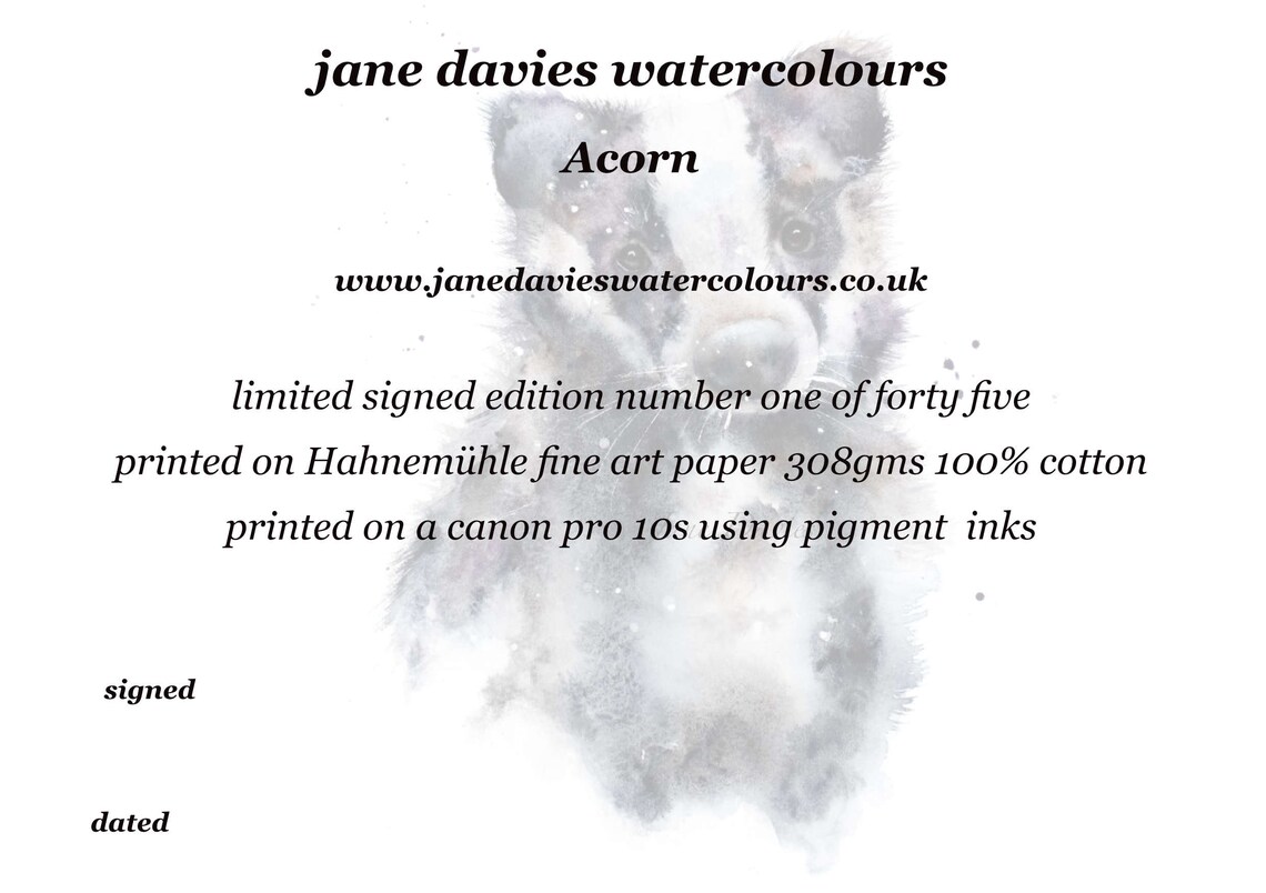 Acorn a Watercolour Giclee Print of a Badger by Jane Davies. - Etsy