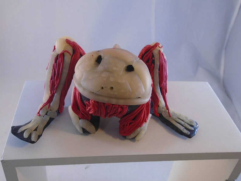 Skinless Frog Figure, Fantasy Polyclay Taxidermy Statue, Great for ...