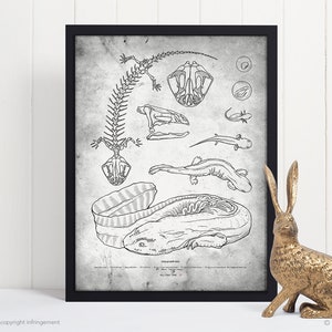 Hellbender Skeleton Wall Art, Giant Salamander Skeleton Drawing ...