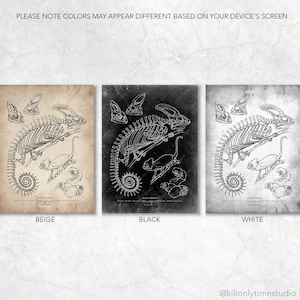 Veiled Chameleon Skeleton Wall Art, Chameleon Skull Drawing, Reptile ...