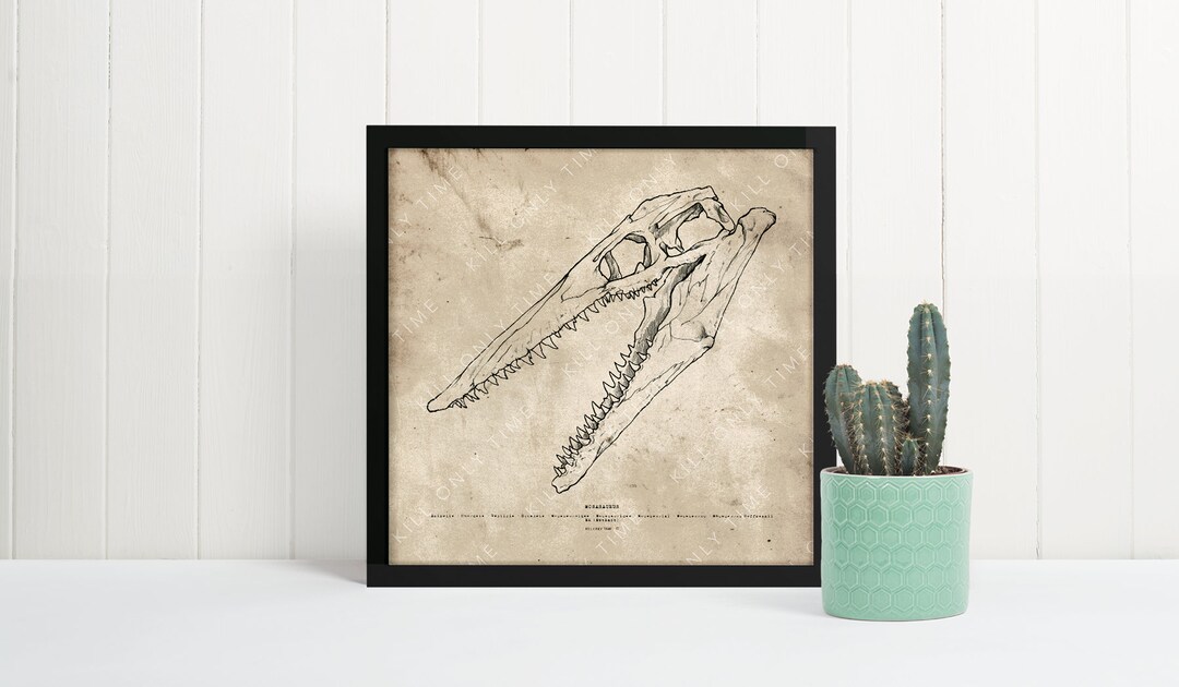 Mosasaurus Skull Wall Art, Vintage Dinosaur Skull Print, Dinosaur ...