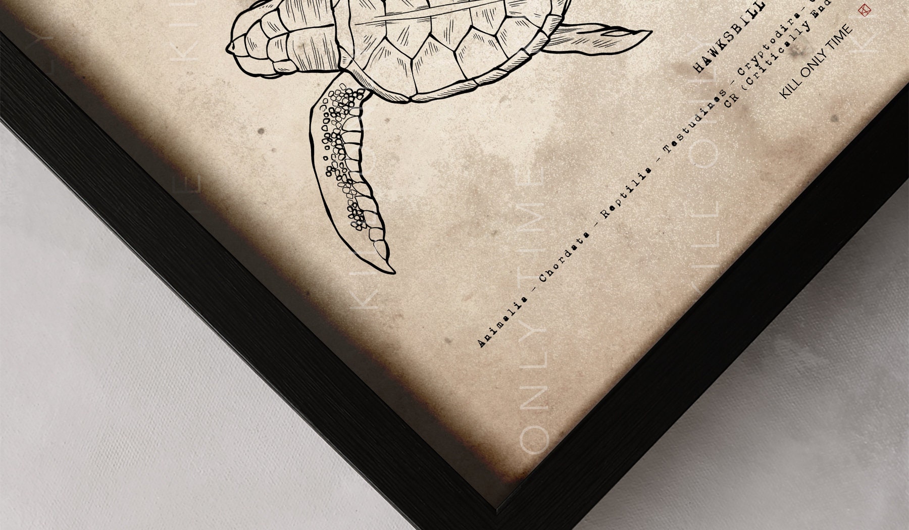 Hawksbill Sea Turtle Skull Wall Art Vintage Antique Drawing Art Print ...