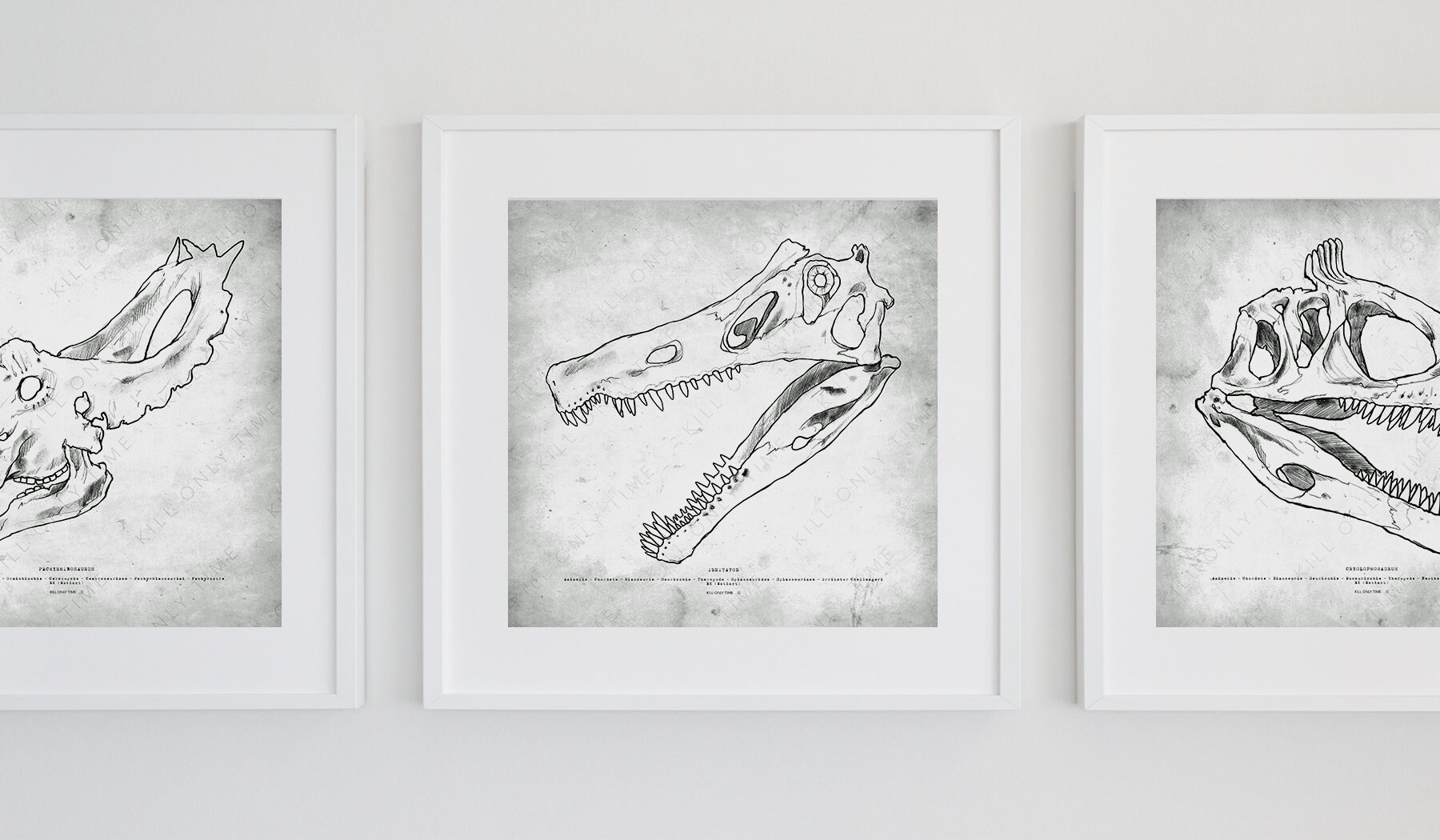 Irritator Drawing Wall Art, Vintage Antique Dinosaur Fossil Art Print ...
