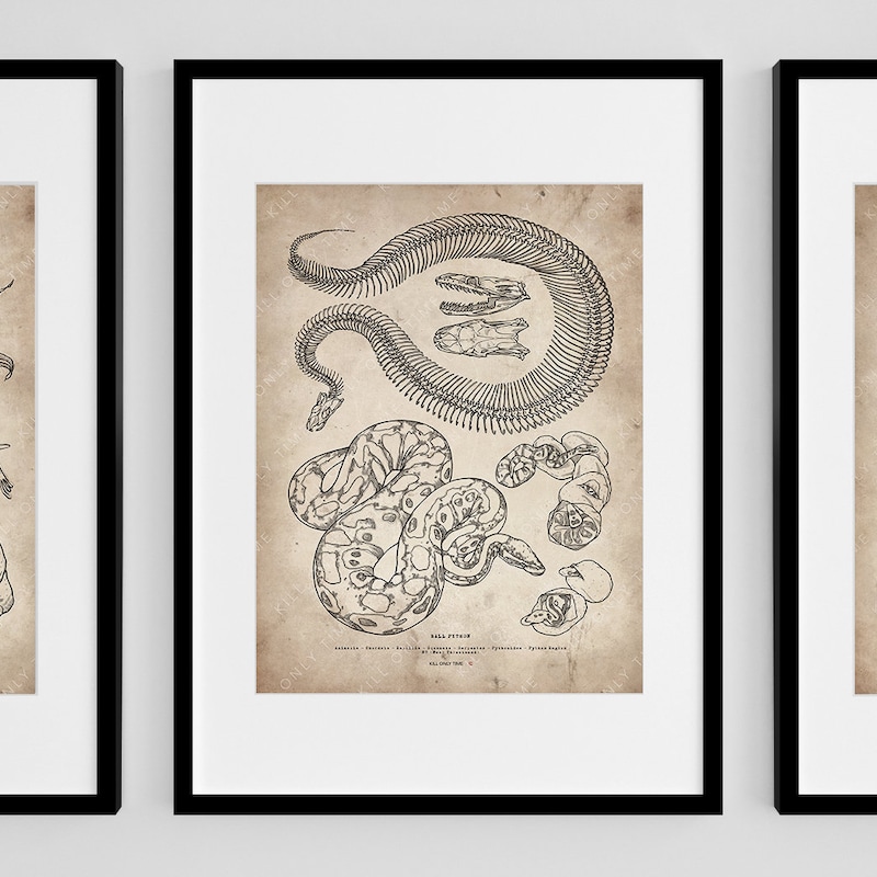 Snake Artwork - Etsy