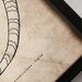 Bearded Dragon Skeleton Art Print: Hand-drawn Vintage-style Scientific ...