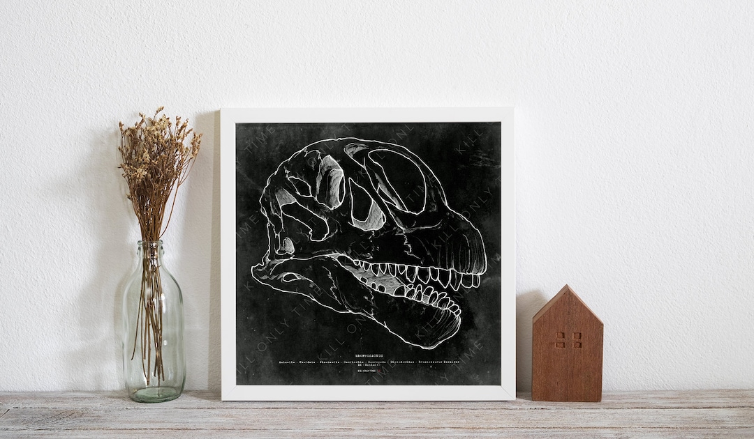 Brontosaurus Skull Drawing Wall Art - Vintage Antique Drawing Art Print ...