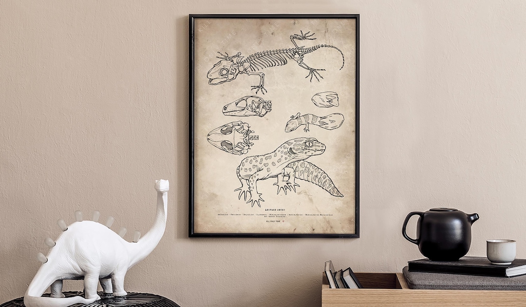 Leopard Gecko Skeleton Wall Art, Gecko Skull Drawing Print, Reptile ...