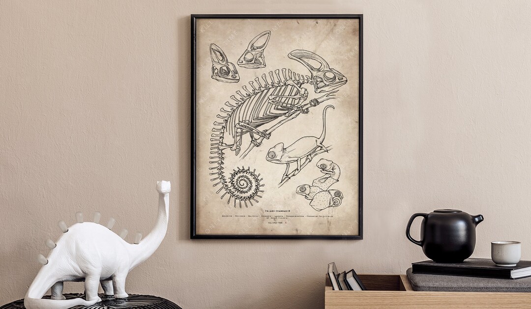 Veiled Chameleon Skeleton Wall Art, Chameleon Skull Drawing, Reptile ...