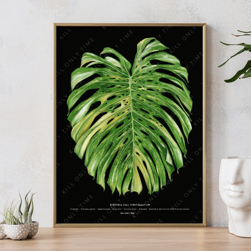 Monstera Wall Art - Etsy