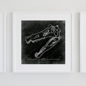 Irritator Drawing Wall Art, Vintage Antique Dinosaur Fossil Art Print ...