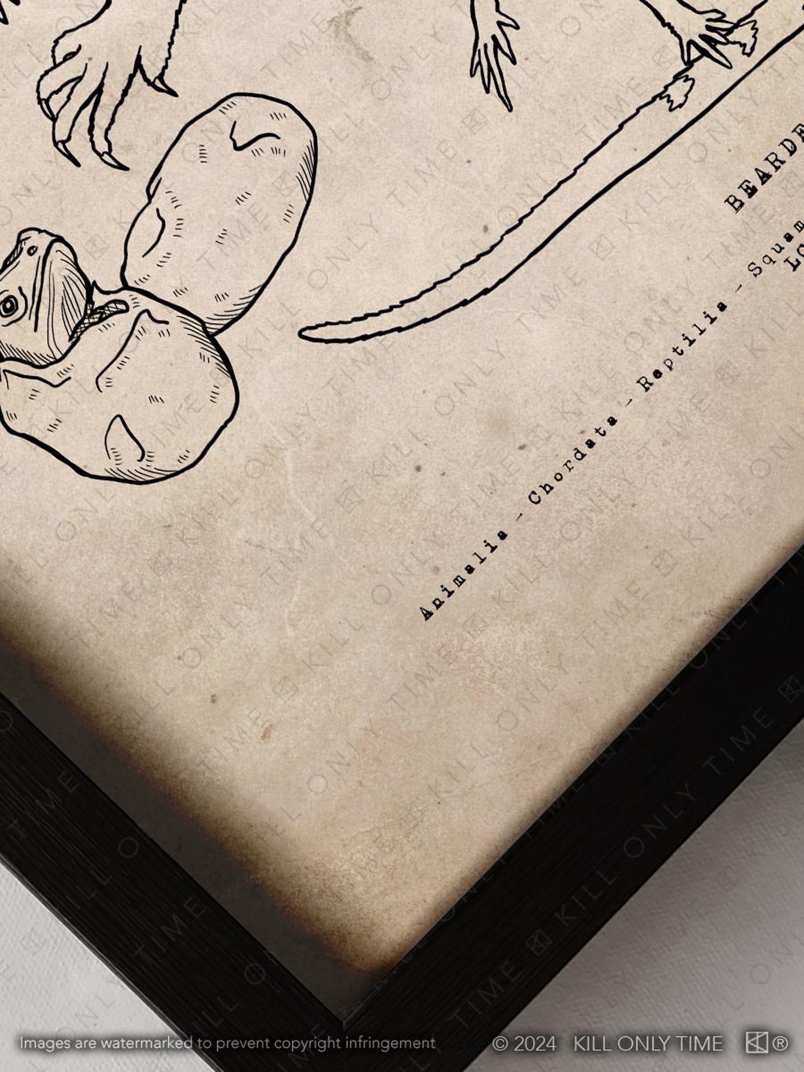 Bearded Dragon Skeleton Art Print: Hand-drawn Vintage-style Scientific ...