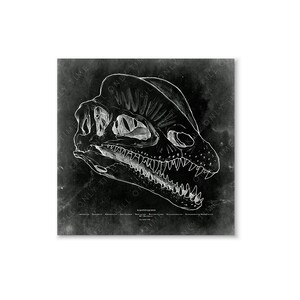 Dilophosaurus Skull Art Print - Vintage Antique Drawing Art Print ...
