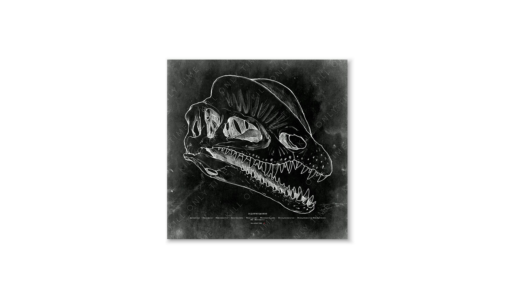 Dilophosaurus Skull Art Print - Vintage Antique Drawing Art Print ...