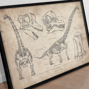 Brachiosaurus Skeleton Art Print, Dinosaur Skull Drawing, Jurassic ...