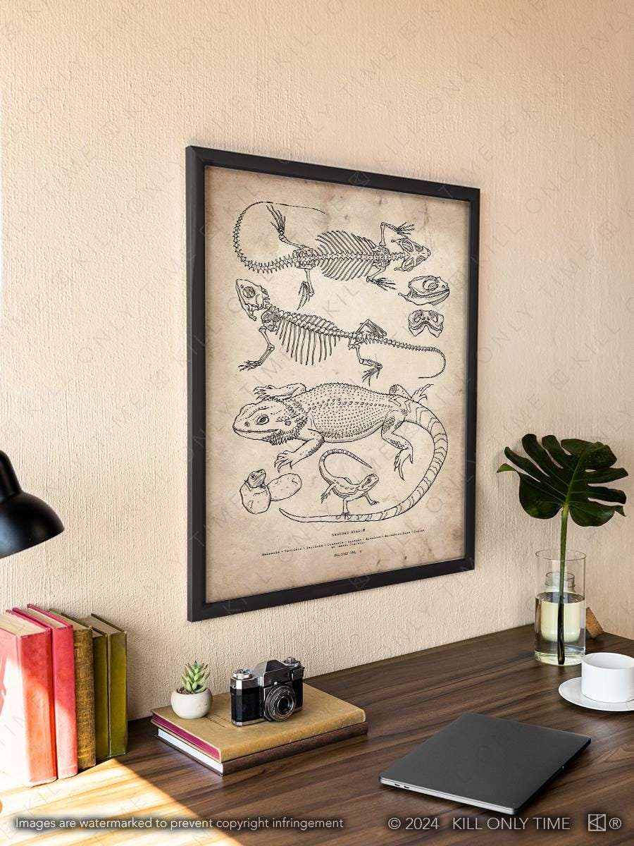 Bearded Dragon Skeleton Art Print: Hand-drawn Vintage-style Scientific ...
