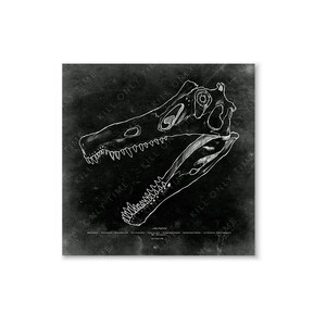 Irritator Drawing Wall Art, Vintage Antique Dinosaur Fossil Art Print ...