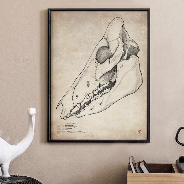 Boar Skull Drawing - Etsy