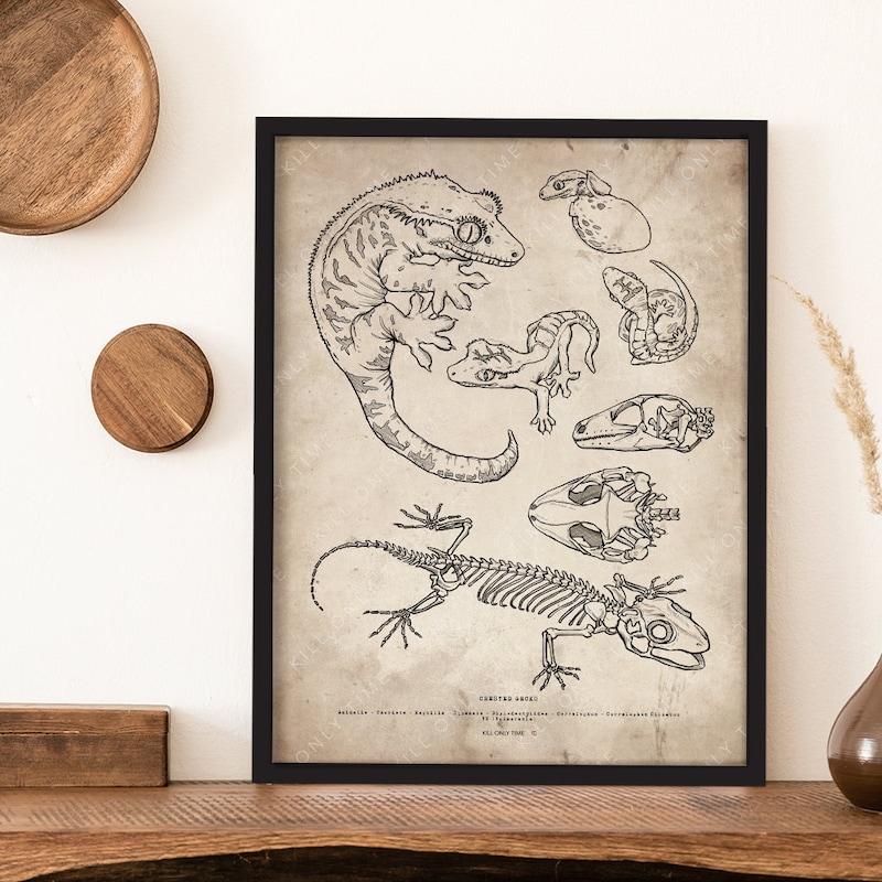 Gecko Art - Etsy