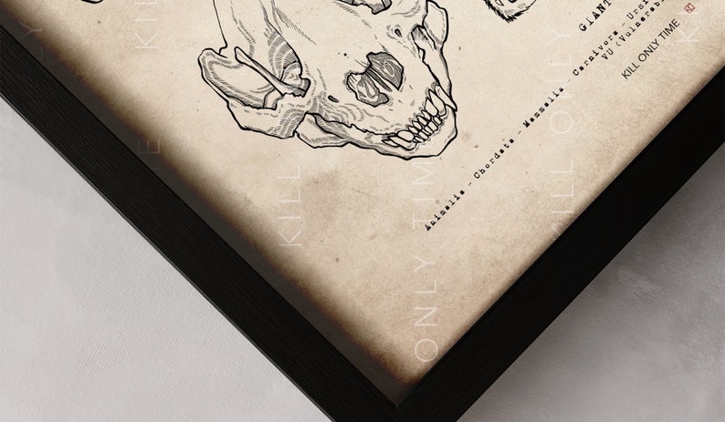 Giant Panda Skeleton Wall Art Chinese Panda Skull Drawing, Endangered ...