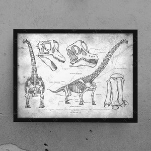 Brachiosaurus Skeleton Art Print: Hand-drawn Vintage Dinosaur ...