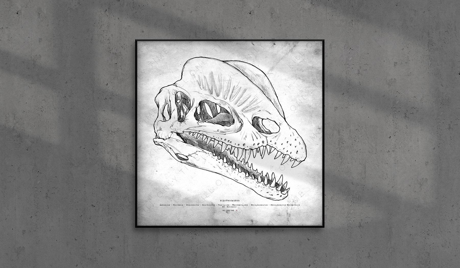 Dilophosaurus Skull Art Print - Vintage Antique Drawing Art Print ...