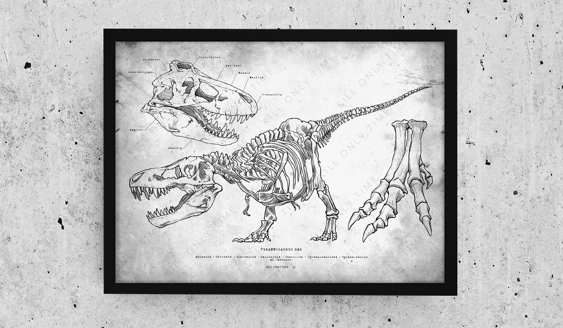 Tyrannosaurus Rex Skeleton Art Print: Hand-drawn Vintage Dinosaur ...