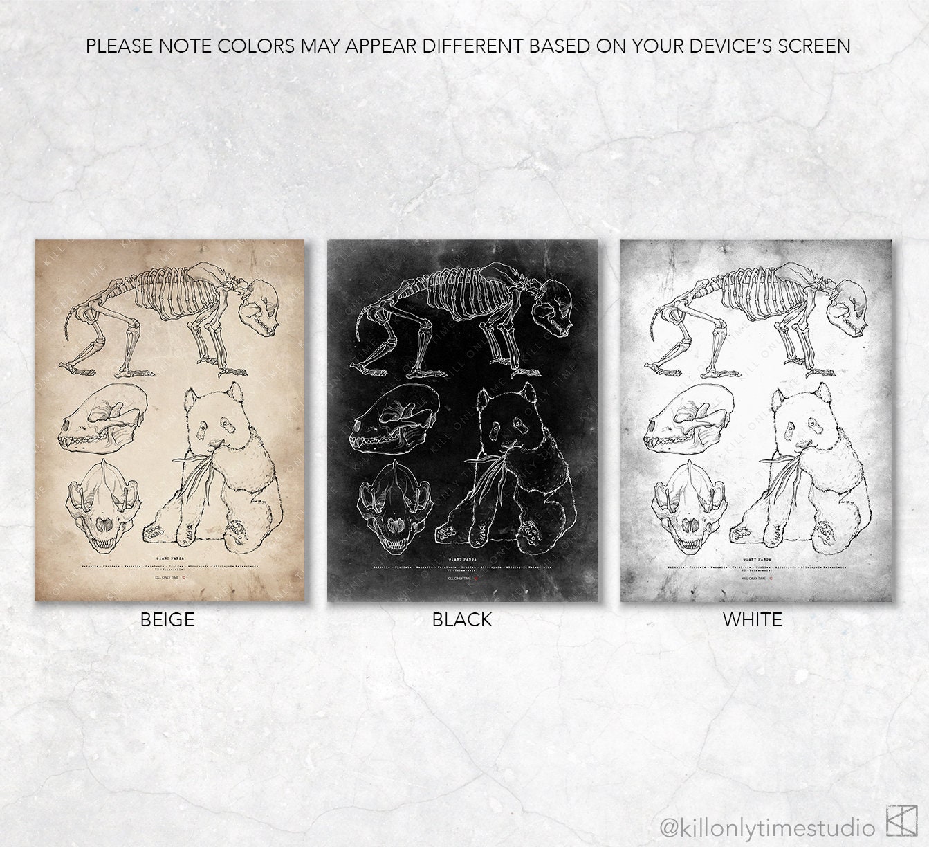 Giant Panda Skeleton Wall Art, Chinese Panda Skull Drawing, Panda ...