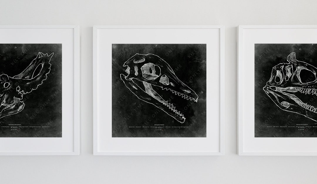 Archaeopteryx Skull Drawing Wall Art, Vintage Antique Dinosaur Fossil ...