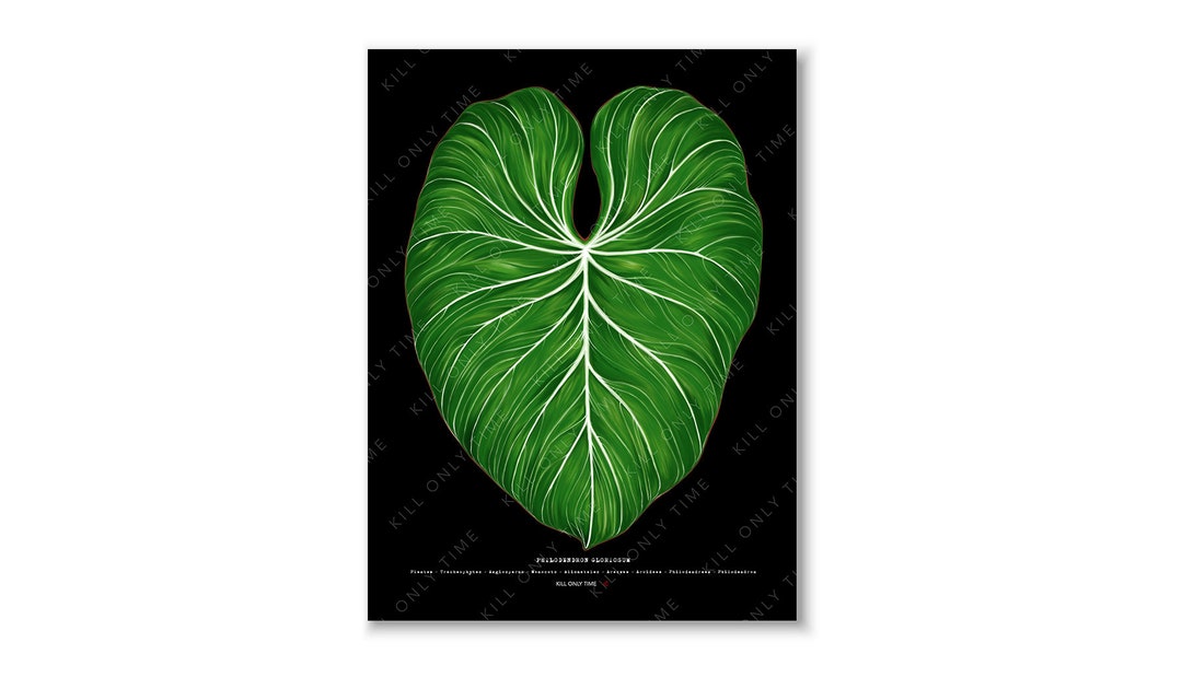 Philodendron Gloriosum Wall Art, Philodendron Foliage Art Print ...