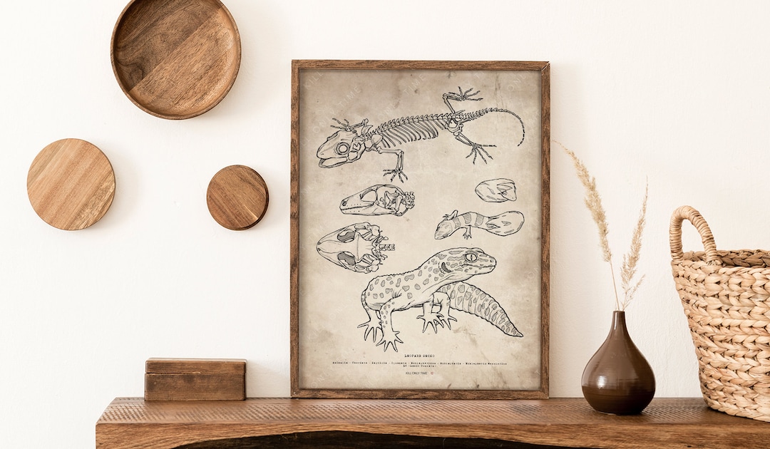 Leopard Gecko Skeleton Wall Art, Gecko Skull Drawing Print, Reptile ...