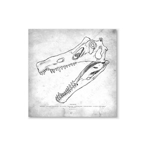 Irritator Drawing Wall Art, Vintage Antique Dinosaur Fossil Art Print ...