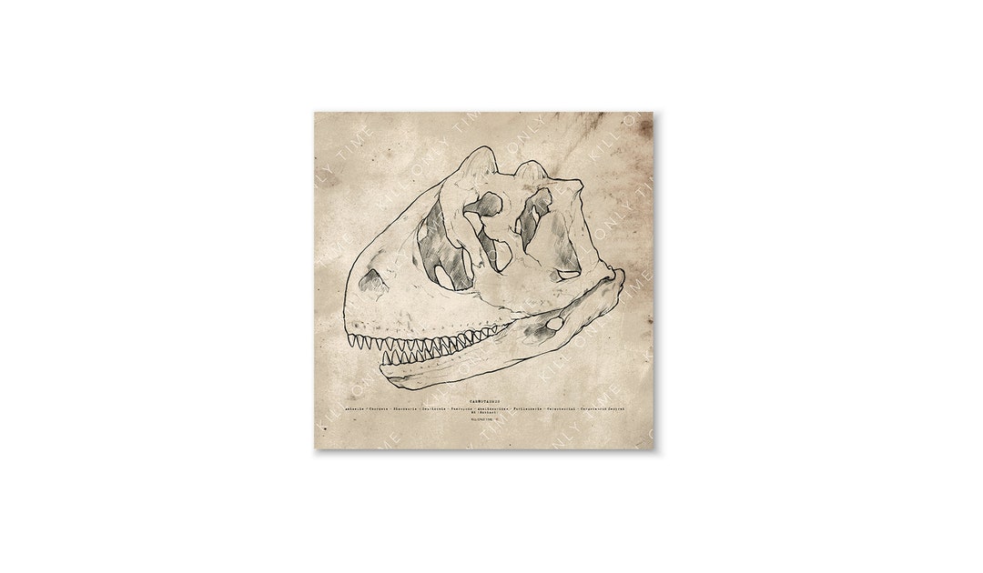 Carnotaurus Skull Art Print, Dinosaur Skull Drawing, Anatomical Sketch ...
