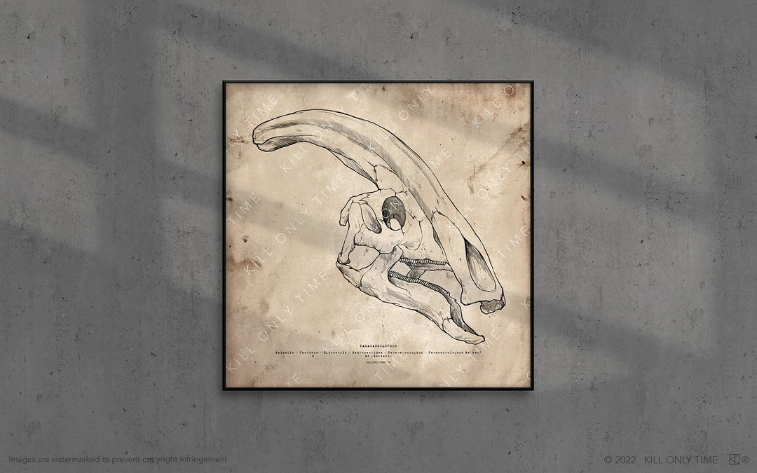 Parasaurolophus Skull Art Print, Vintage Dinosaur Skull Drawing ...