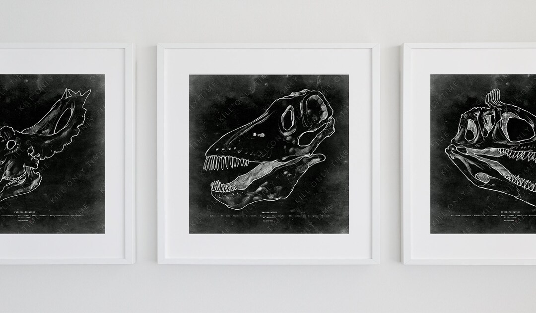 Amargasaurus Skull Drawing Wall Art, Vintage Antique Dinosaur Skull Art ...