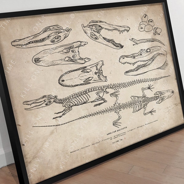 Alligator Art - Etsy